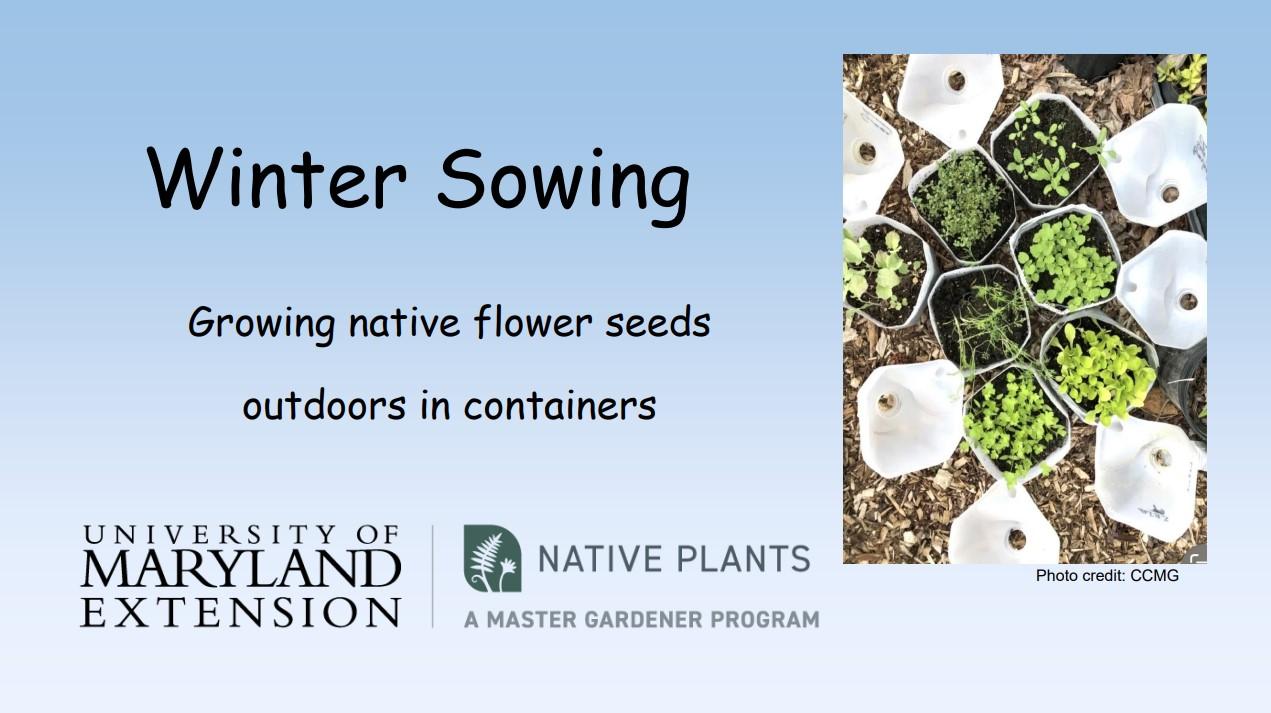 Redirecting to https://extension.umd.edu/locations/charles-county/master-gardener/native-plants